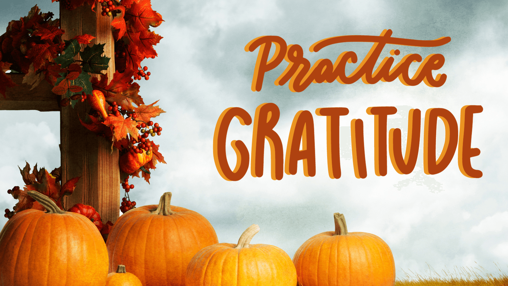 What is Thankfulness and How Does it Work? – Sheer Alternatives